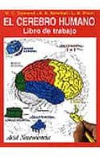EL CEREBRO HUMANO: LIBRO DE TRABAJO | Marian C. Diamond | Segunda mano ...