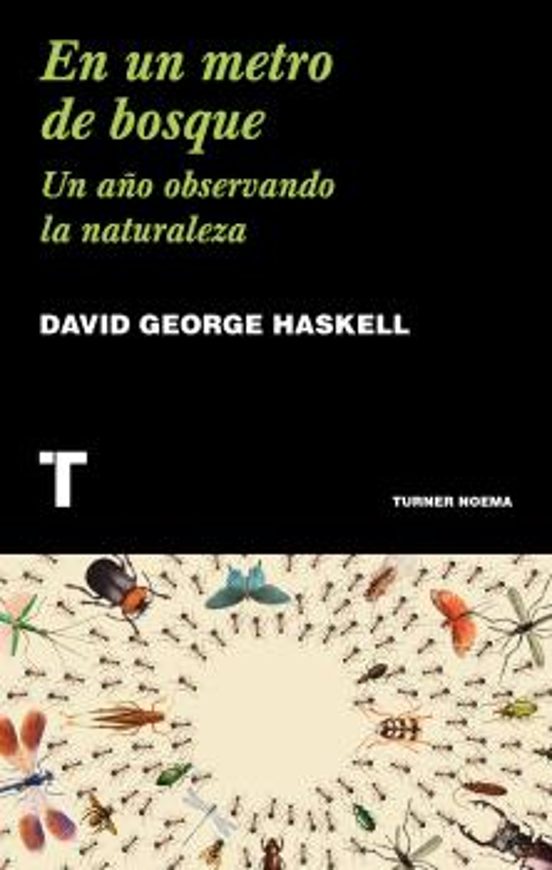 EN UN METRO DE BOSQUE | DAVID GEORGE HASKELL | Casa del Libro