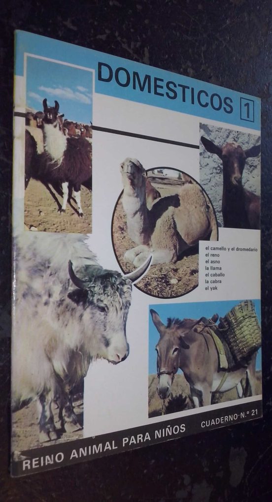 REINO ANIMAL PARA NIÑOS. CUADERNO Nº 21: DOMÉSTICOS 1: EL CAMELLO Y EL ...